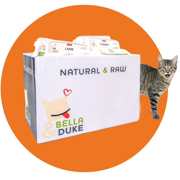 Natural, Healthy Raw Dog Food | Free UK Delivery | Bella & Duke